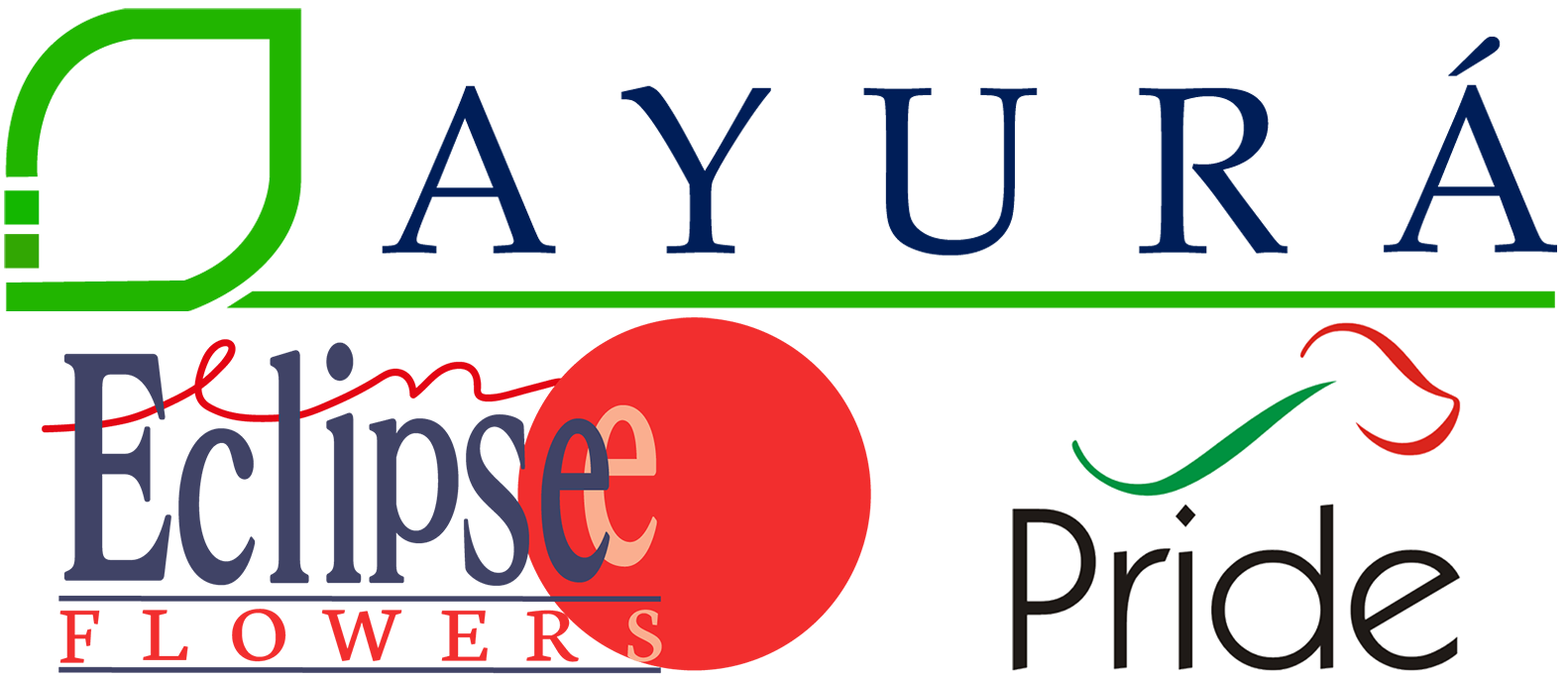 Ayurá - Ayurá S.A.S.